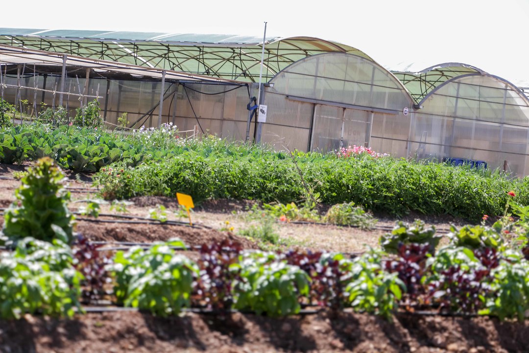 Fundación ONCE ayuda a la adaptación de la zona de invernaderos weyler - Blog Comunidad Esment