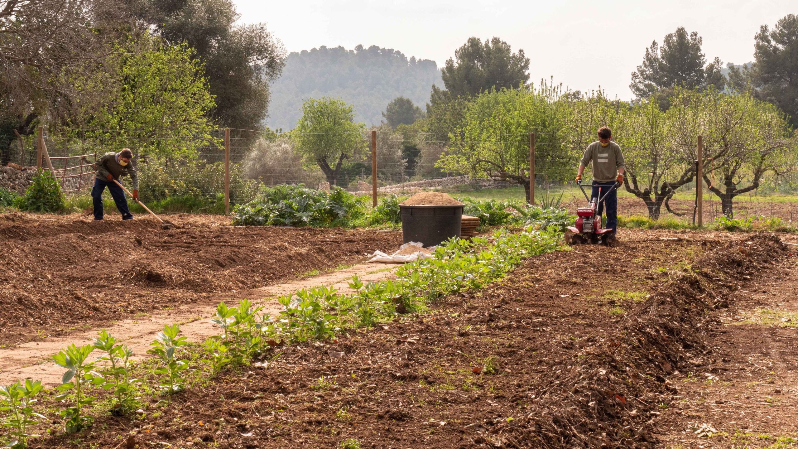 Esment comparte su modelo de agricultura sostenible con valor social - Blog Comunidad Esment